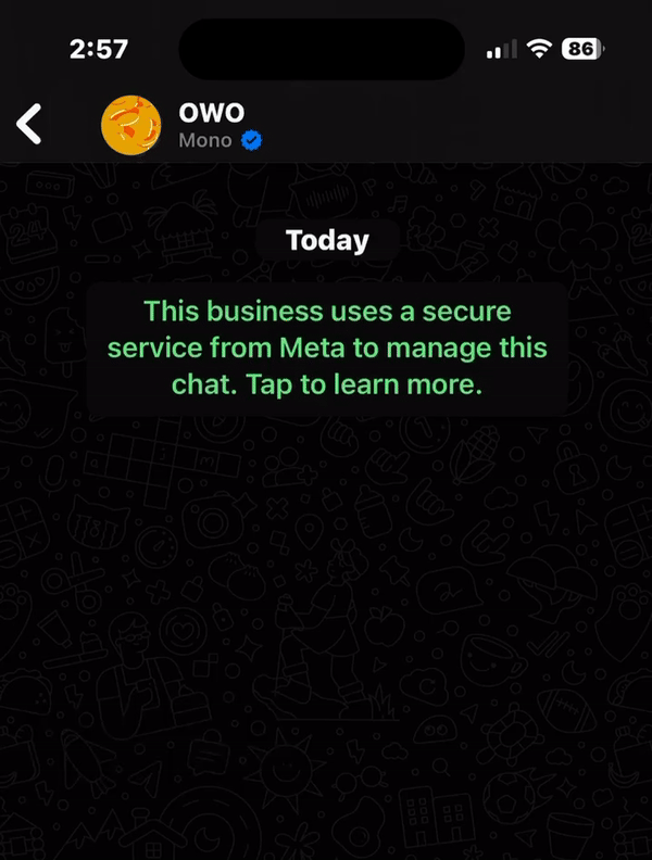 OWO - Send money on WhatsApp